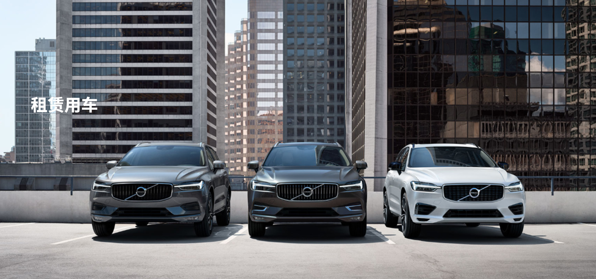 大客户-租赁用车-volvo 租赁用车 | Volvo Cars